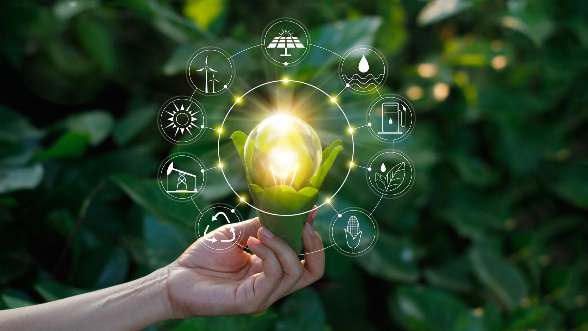 Descarbonización: Que es y cómo conseguirla | InnovaciónDigital360