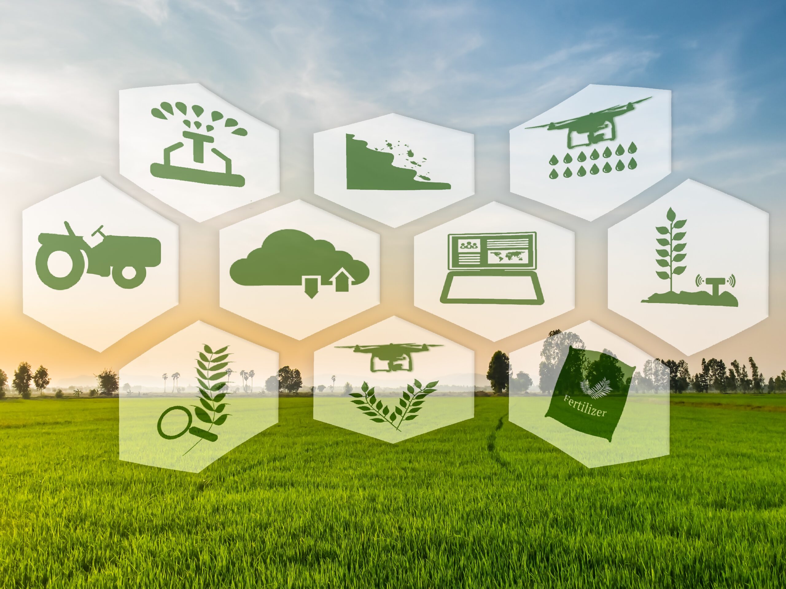 Así fue como NS Agro diseñó su estrategia en la nube | InnovaciónDigital360